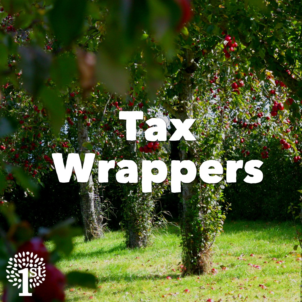 Lump sum investing with an IFA | Financial Advice from Somerset